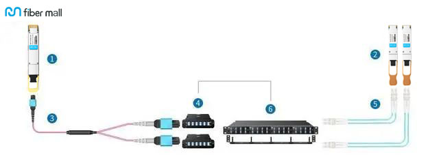 Four typical 400G network solutions |FiberMall