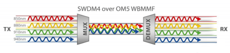 Fibra multimodo OM1 a OM5: ¿Cuál es la diferencia? |FiberMall