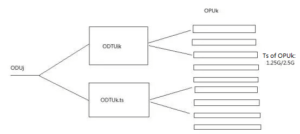 What are the Rates of Optical Transport Network (OTN)? |FiberMall