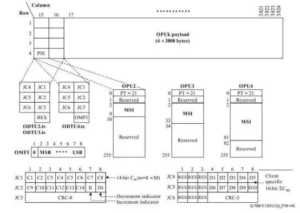 What are the Rates of Optical Transport Network (OTN)? |FiberMall