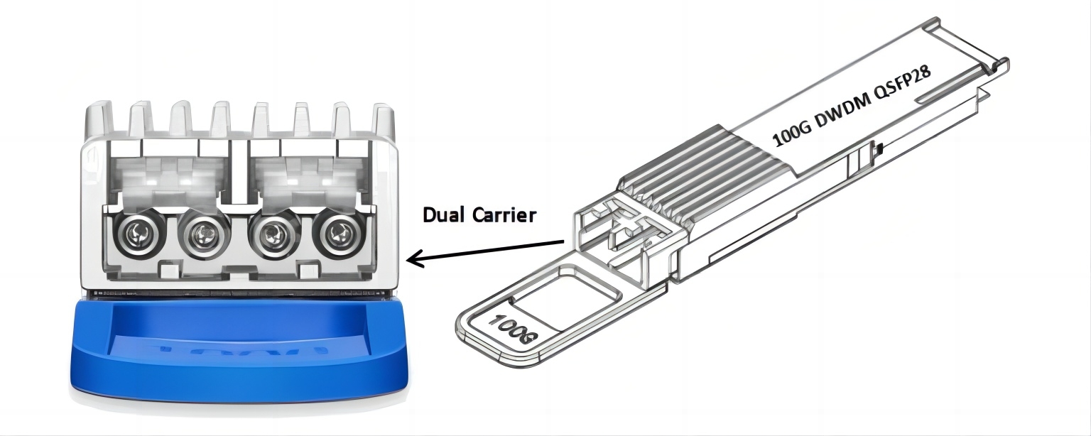 Can I Plug a 100G QSFP Module into a QSFP-DD Port? | FiberMall