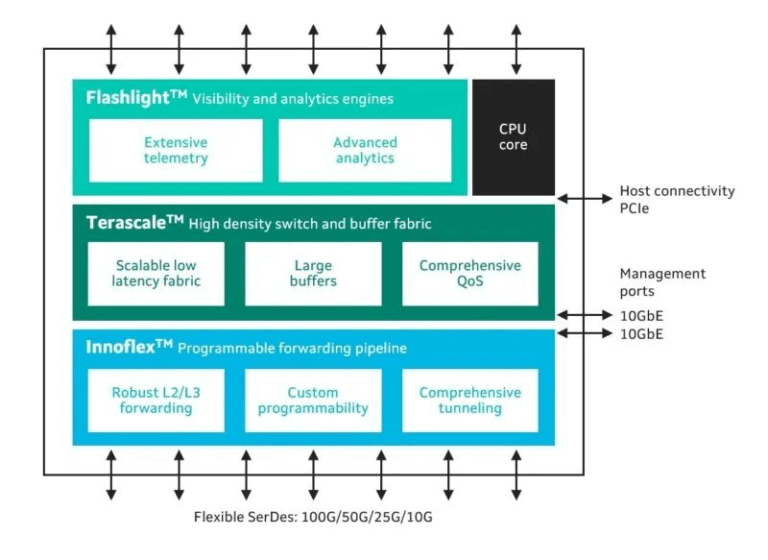 A Glimpse Inside the Marvell 51.2T (64-Port 800G) Switch | FiberMall