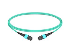 Understanding MTP® Trunk Cables: The Backbone of High-Density Fiber ...