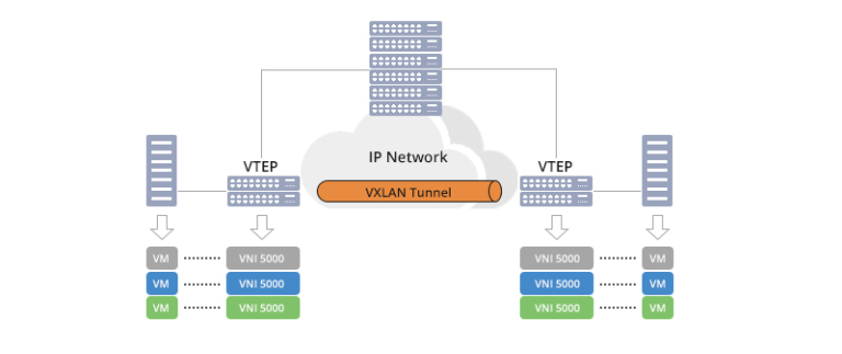 Differences Between Layer 2 and Layer 3 VXLAN | FiberMall