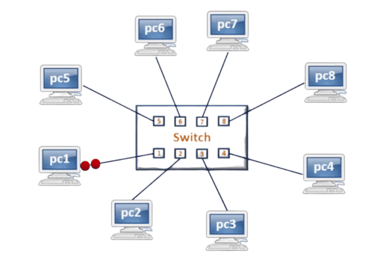 Understanding the Role of a Network Switch: From Routers to Ethernet ...